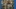 Europe's record heat has overwhelmed Paris mortuaries and left families ...