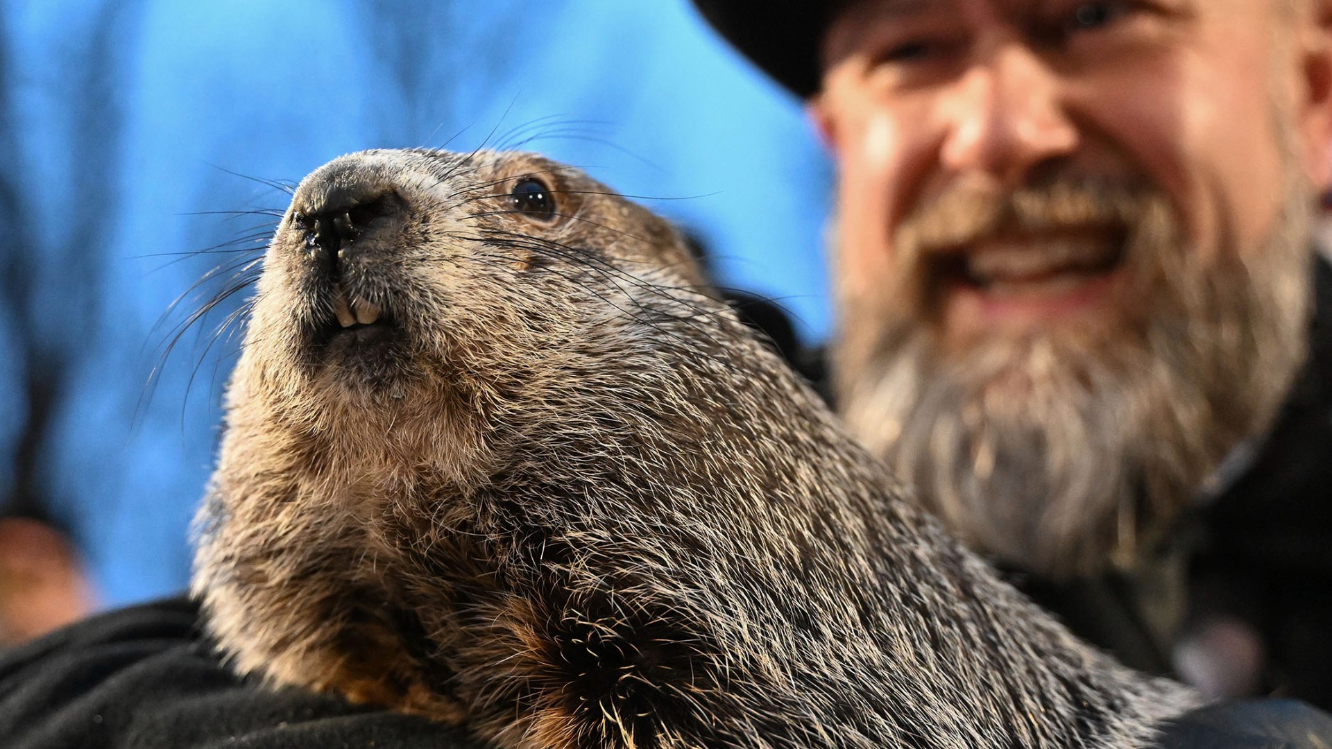 Groundhog Day 2025: Did Punxsutawney Phil see his shadow? | 11alive.com