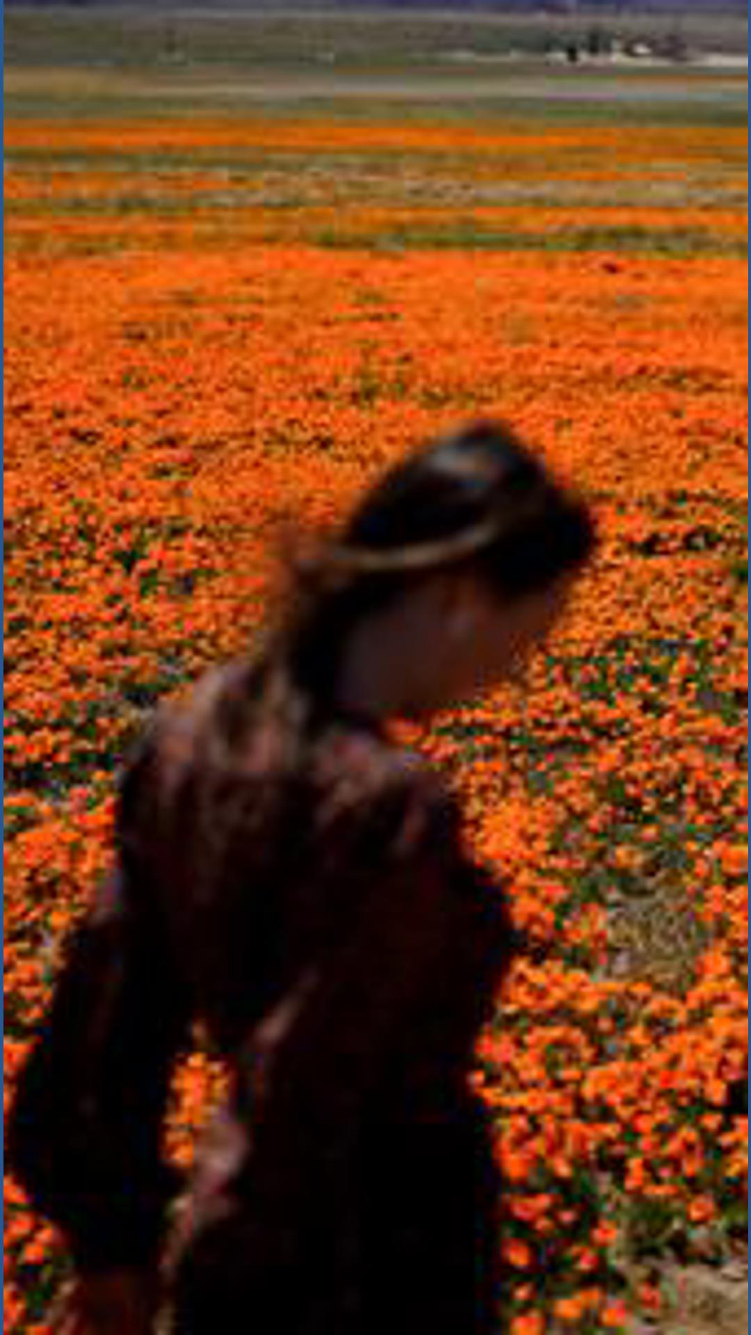 Welcome to allergy season. Here are tips to help keep symptoms ...