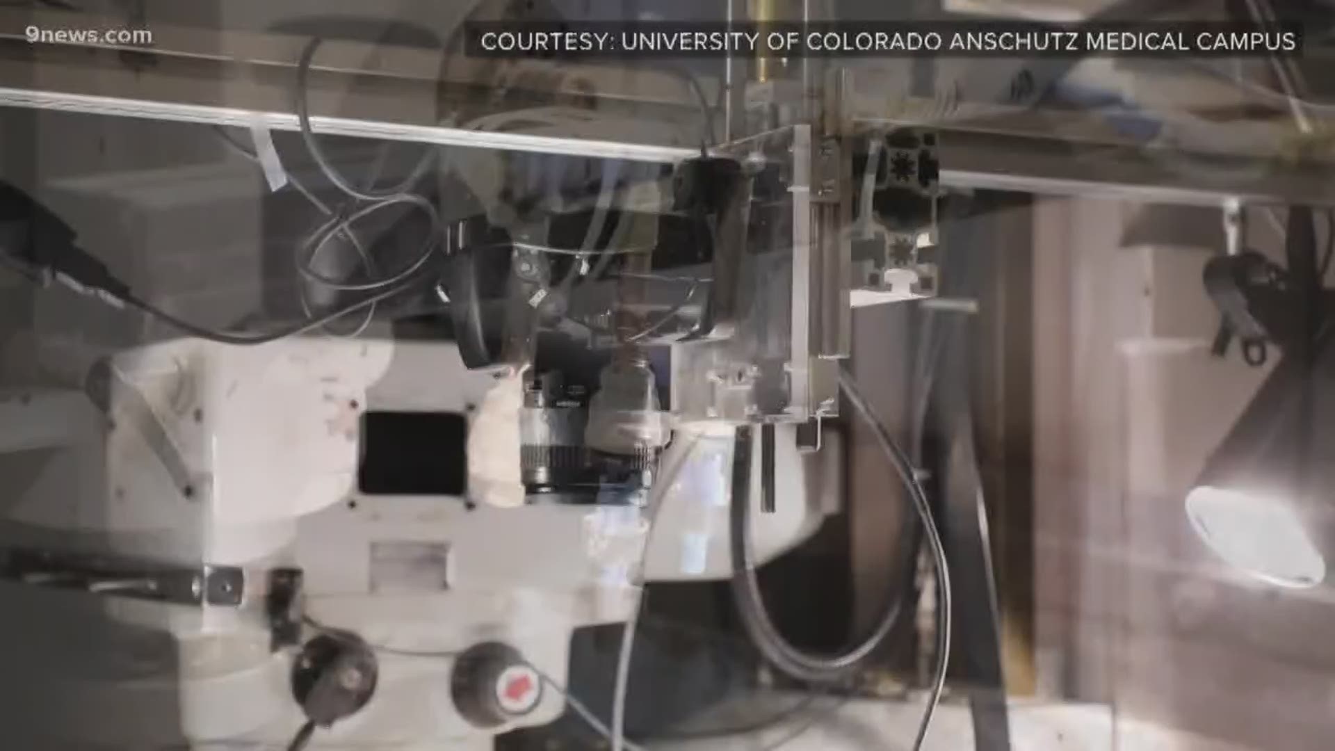 Woman who allowed body to be chopped into 27,000 pieces for science is ...