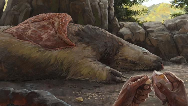 Early Americans may have lived with mastodons, giant sloths | 11alive.com