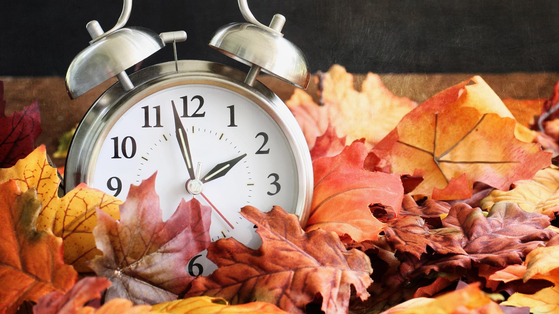 Daylight saving time: When do clocks fall back in 2024? | 11alive.com