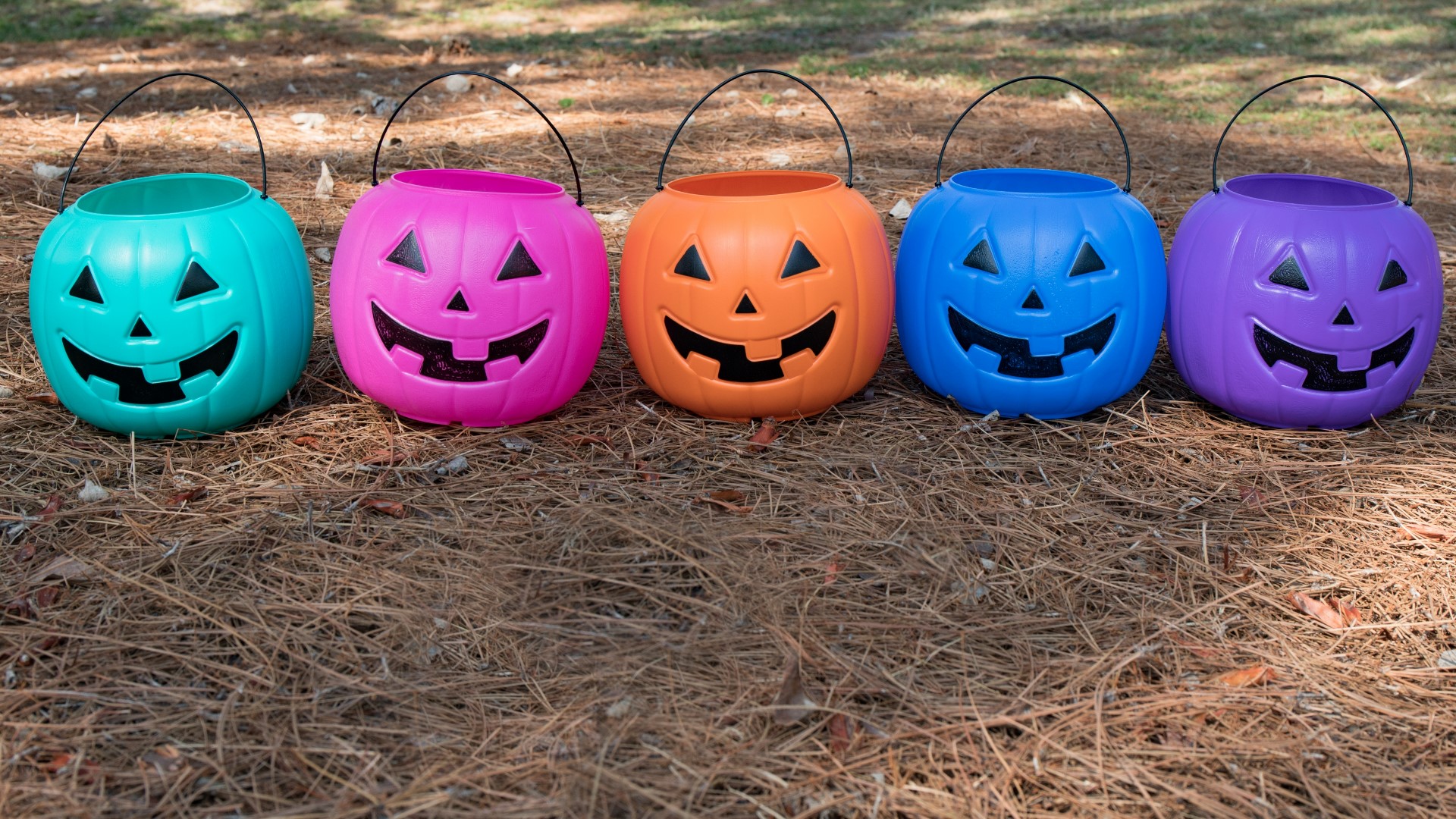 What do teal, purple and blue colored pumpkins mean on Halloween ...