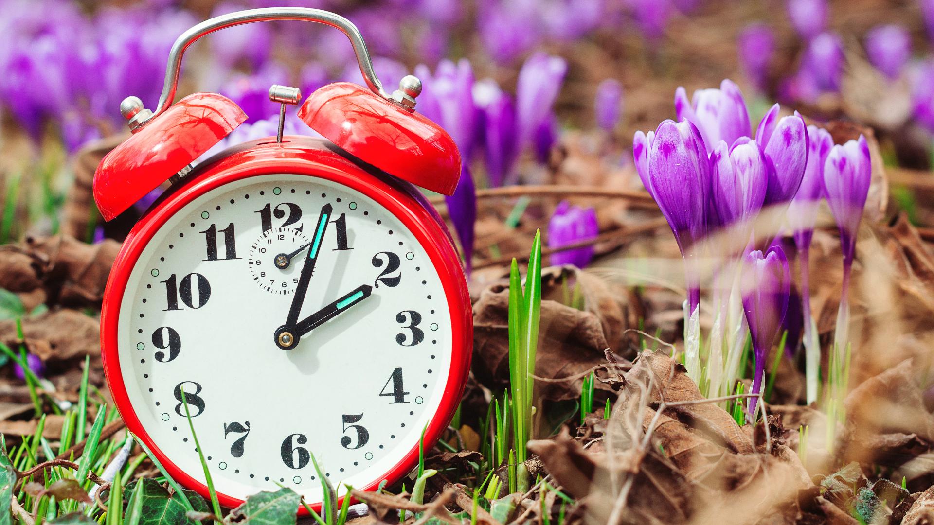 Daylight saving time 2025: When clocks 'spring forward' | 11alive.com