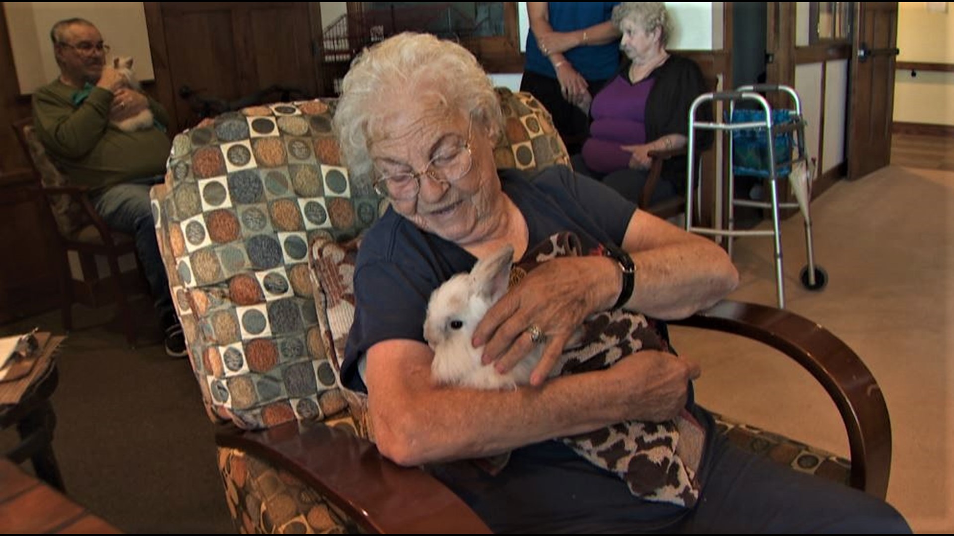 Seniors get bunny hugs, thanks to a soft-hearted teen with a plan ...