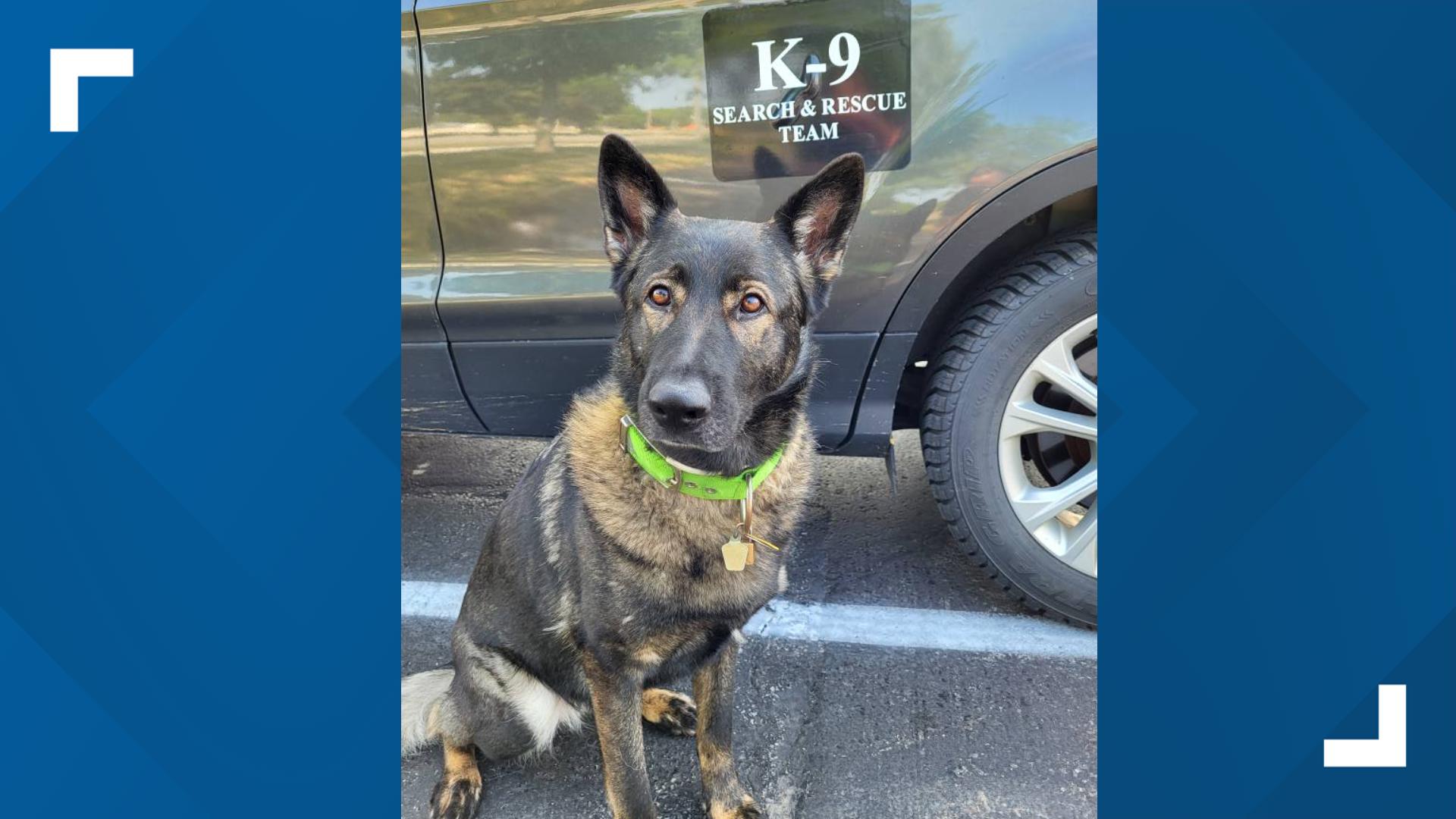 K9 Roxy from Indiana passes after Texas mission | 11alive.com