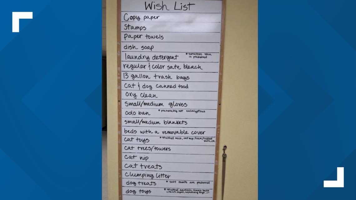 5-year-old Boxer mix named Scout has been at shelter for over three ...