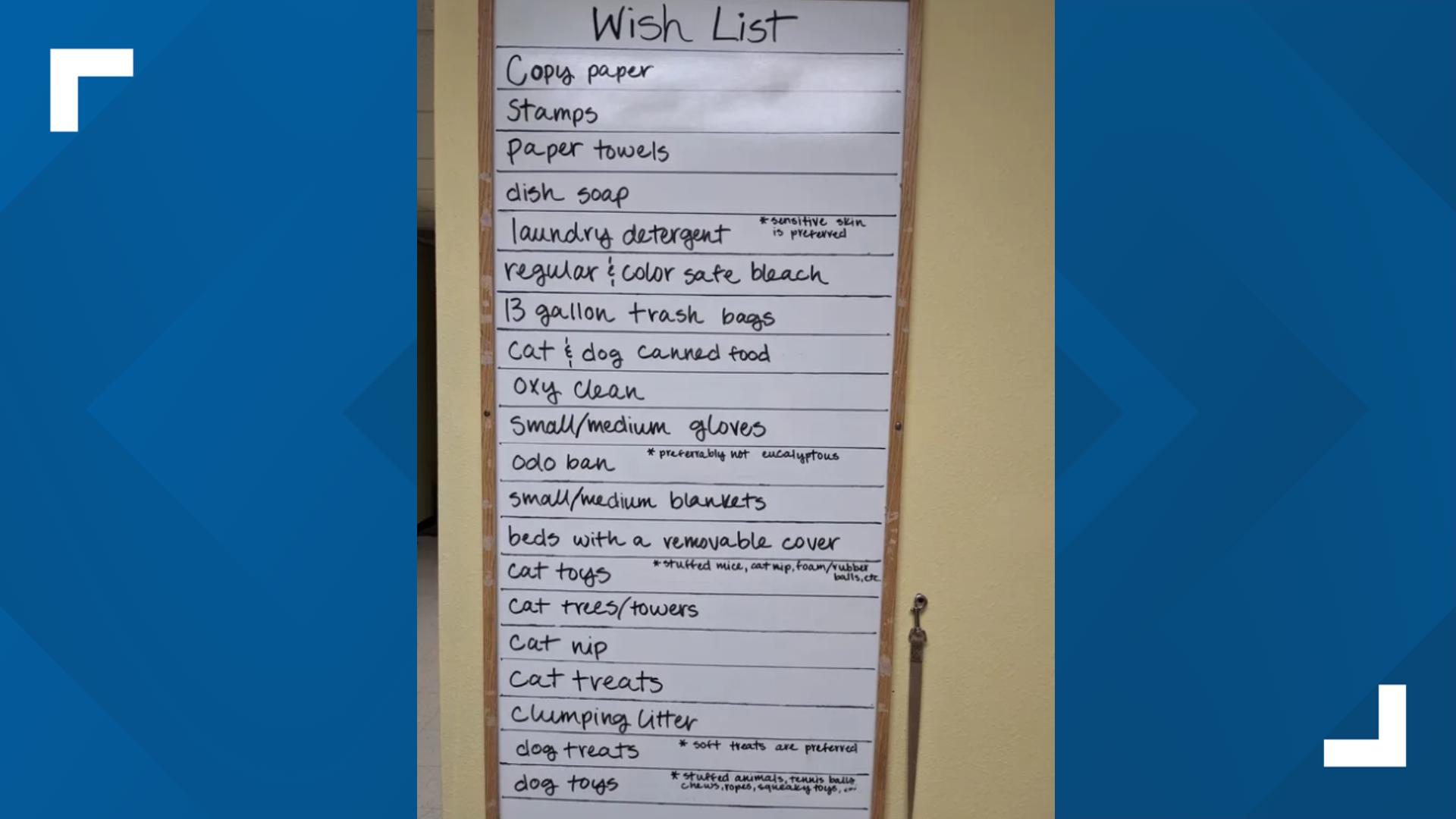 5-year-old Boxer mix named Scout has been at shelter for over three ...