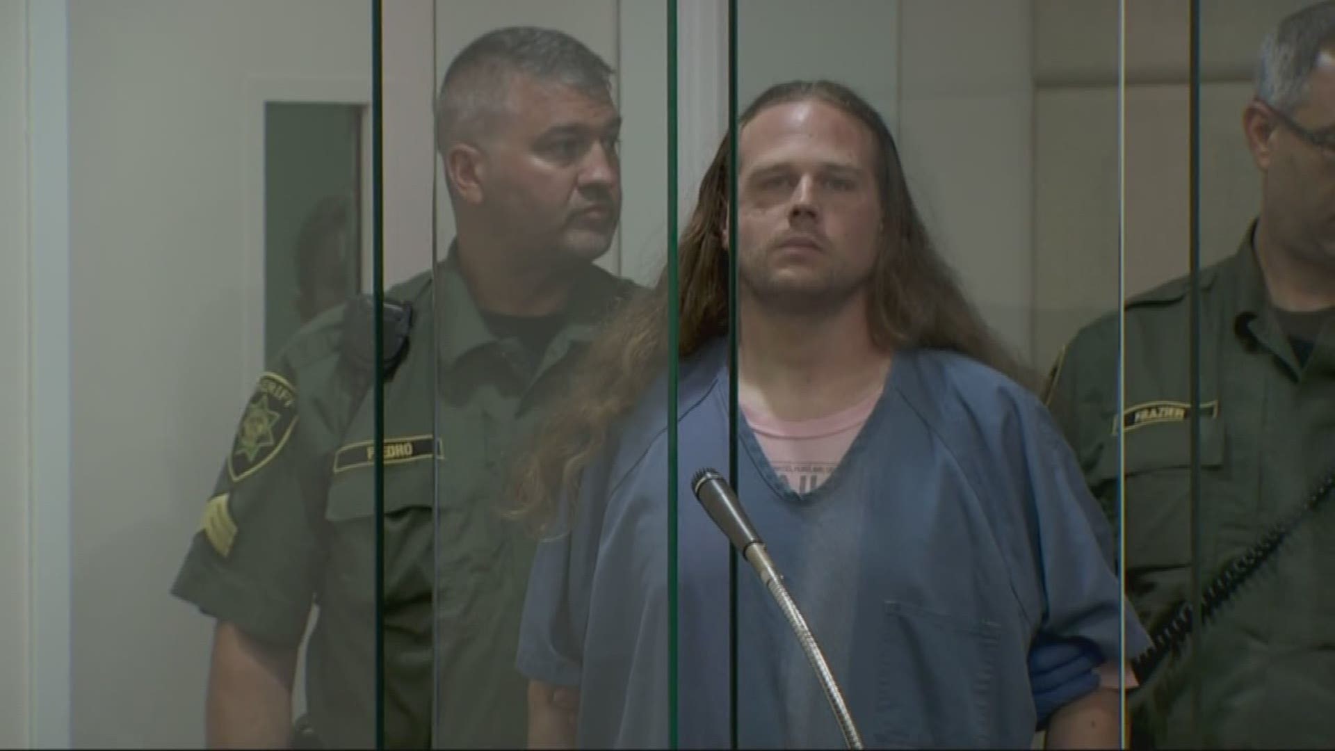 Suspect confessed to stabbing on MAX train, court documents say ...