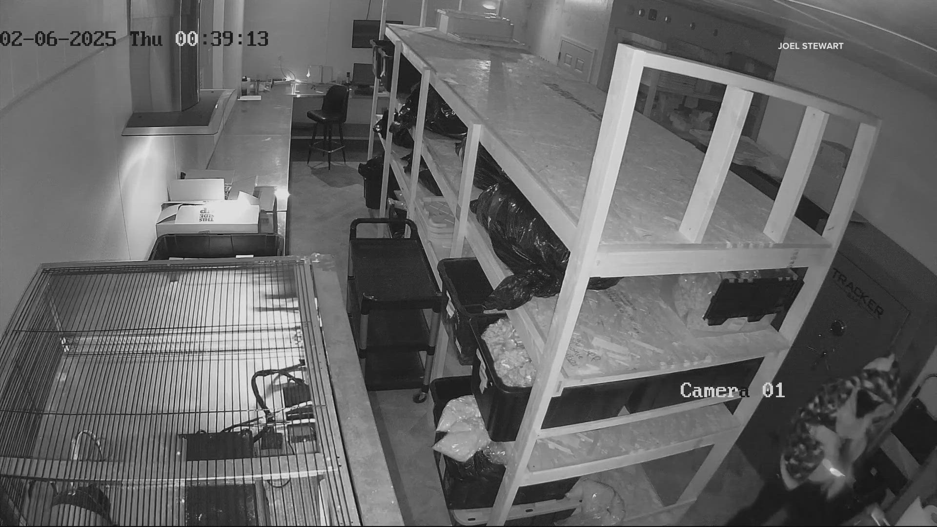 Who is Ashleigh Merchant? Attorney at Fani Willis hearing | 11alive.com