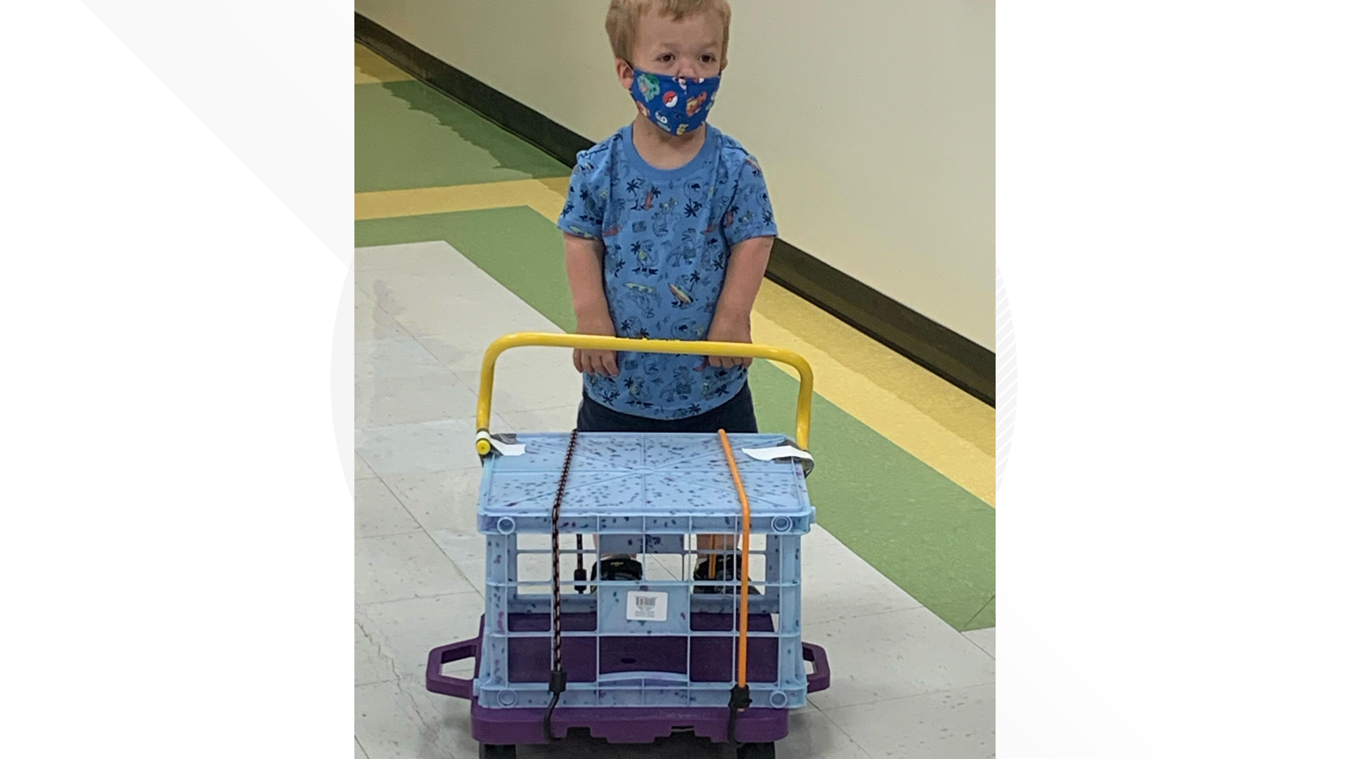 Beaverton lunch worker has custom cart made for student in need ...