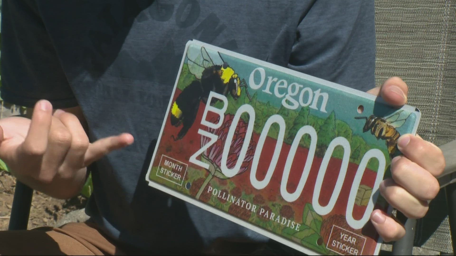 Estacada teen and bee expert designs Oregon's new license plate ...