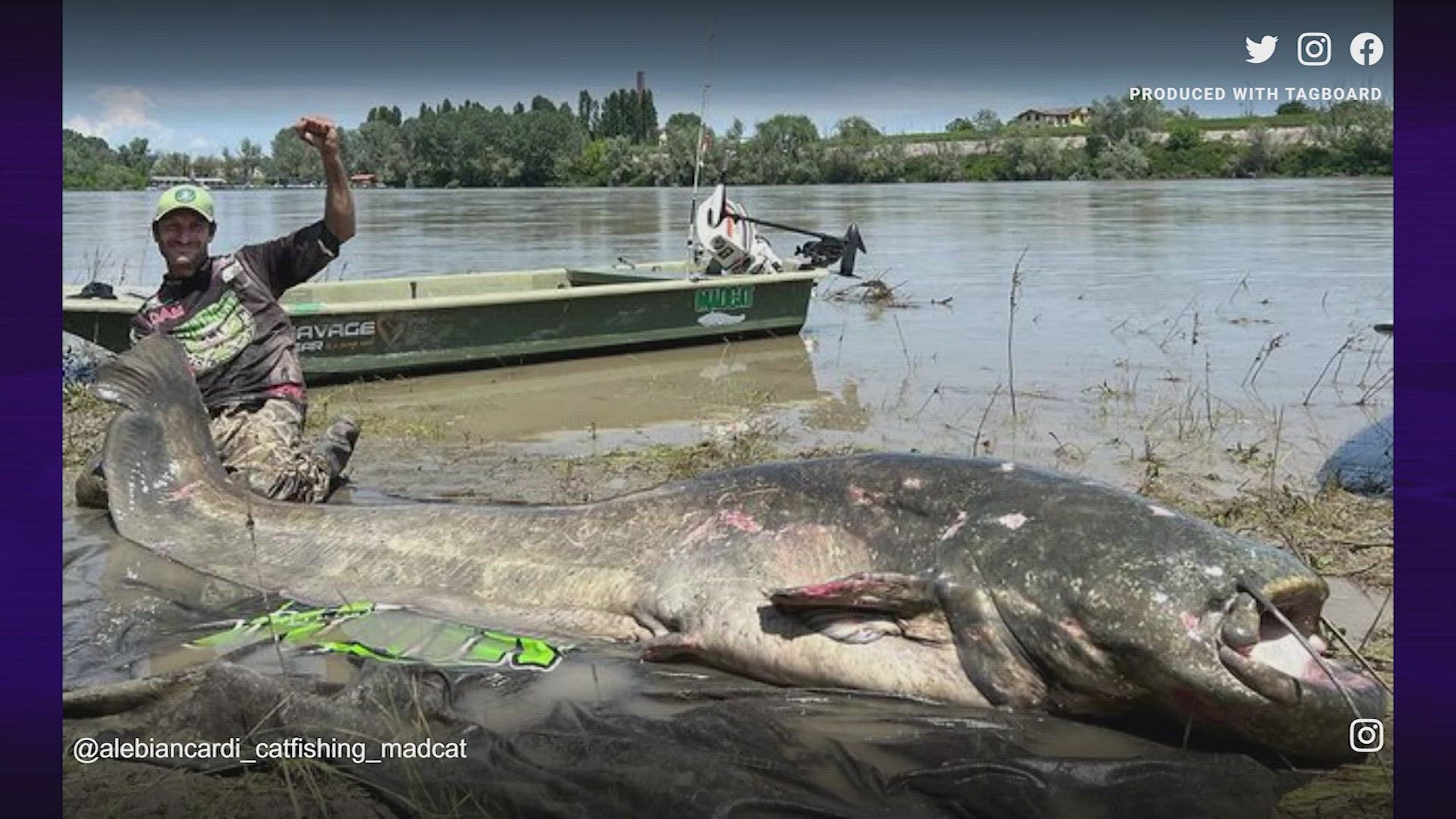 What's the record for biggest catfish? Italian man may have it ...