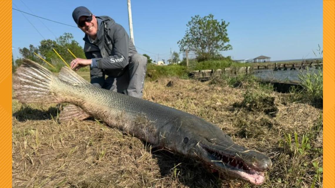 Man catches 153-pound alligator gar on Lake Livingston | 11alive.com