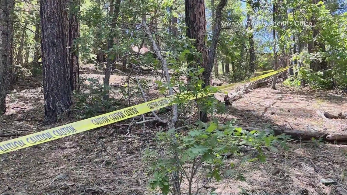 Neighbor who killed bear that attacked Prescott man speaks out ...