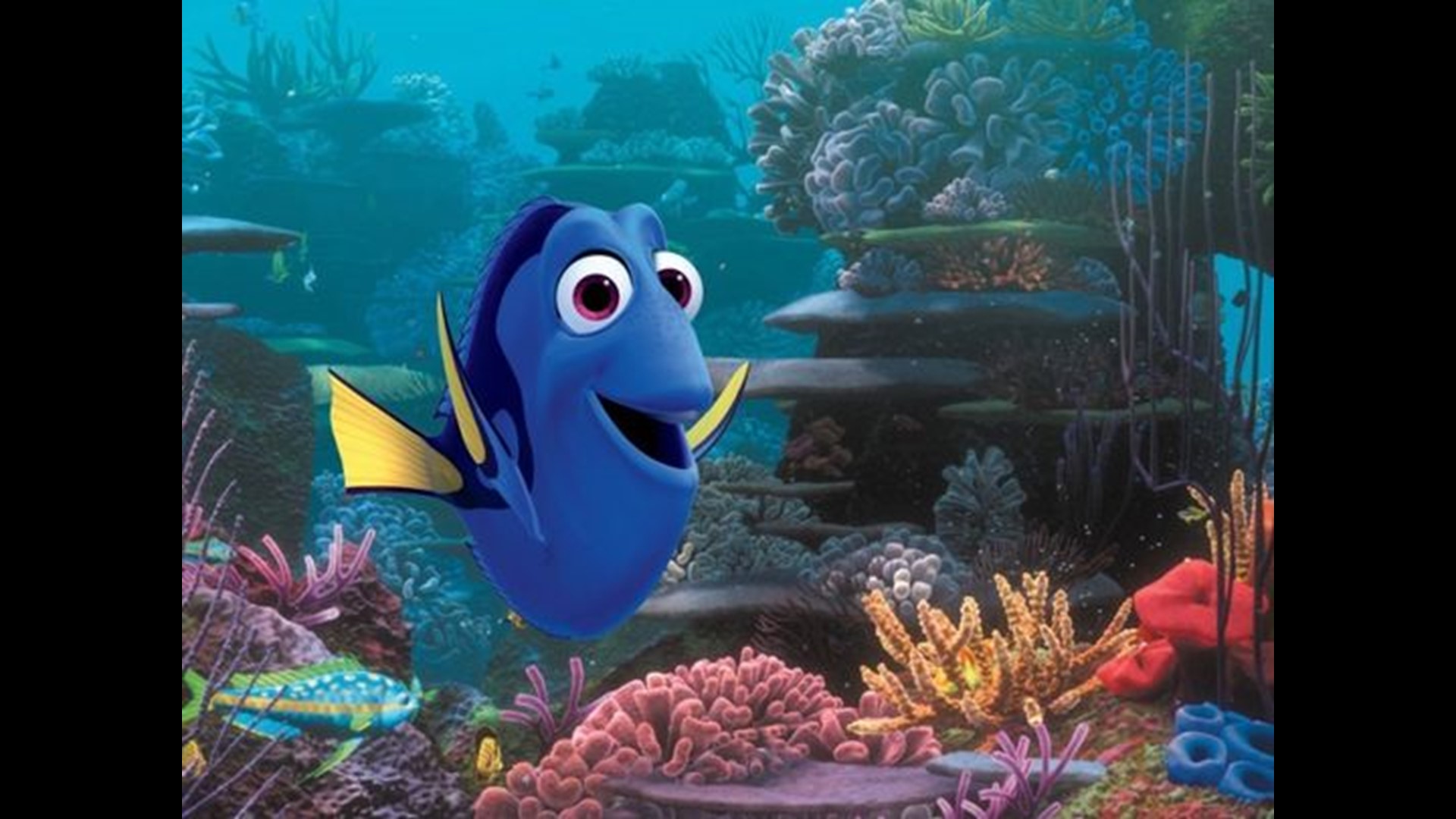 Sneak peek: Meet the parents of 'Finding Dory' | 11alive.com