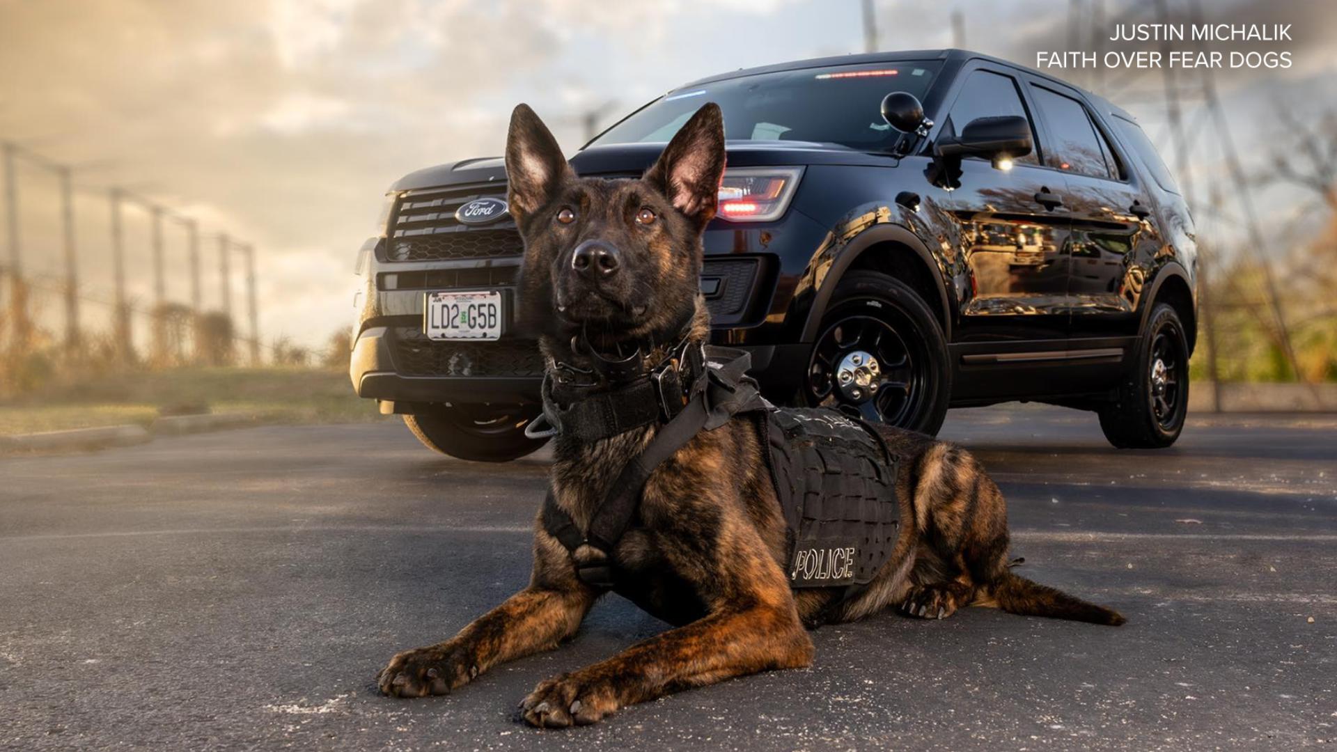 Pagedale police dog found safe after storm ordeal | 11alive.com