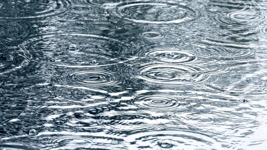 Tyler Canaris lawsuit over Michael McMaster body slamming Georgia ...