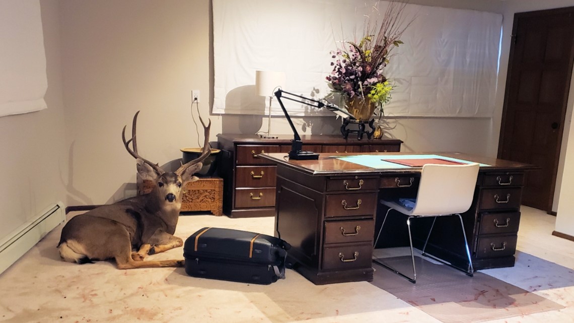Deer buck crashes through window into basement in Colorado | 11alive.com