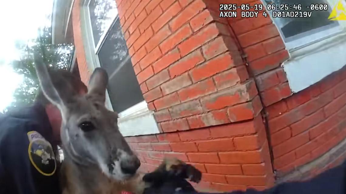 Shannon Melendi's convicted killer Butch Hinton parole eligible ...