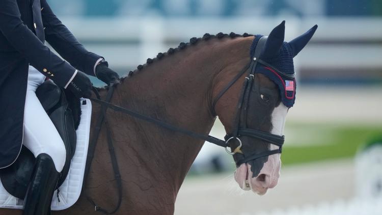 Paris Olympics equestrian riders react to horse-whipping video ...