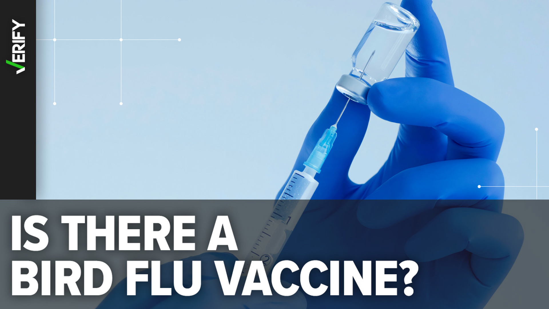 Bird Flu reported in Clayton County, Georgia | What officials say ...