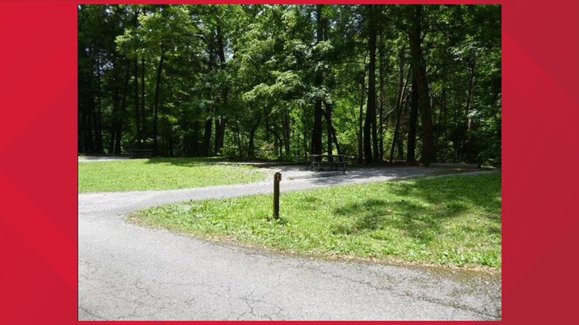 Seven-year-old dies after tree fell on tent in the Great Smokies ...