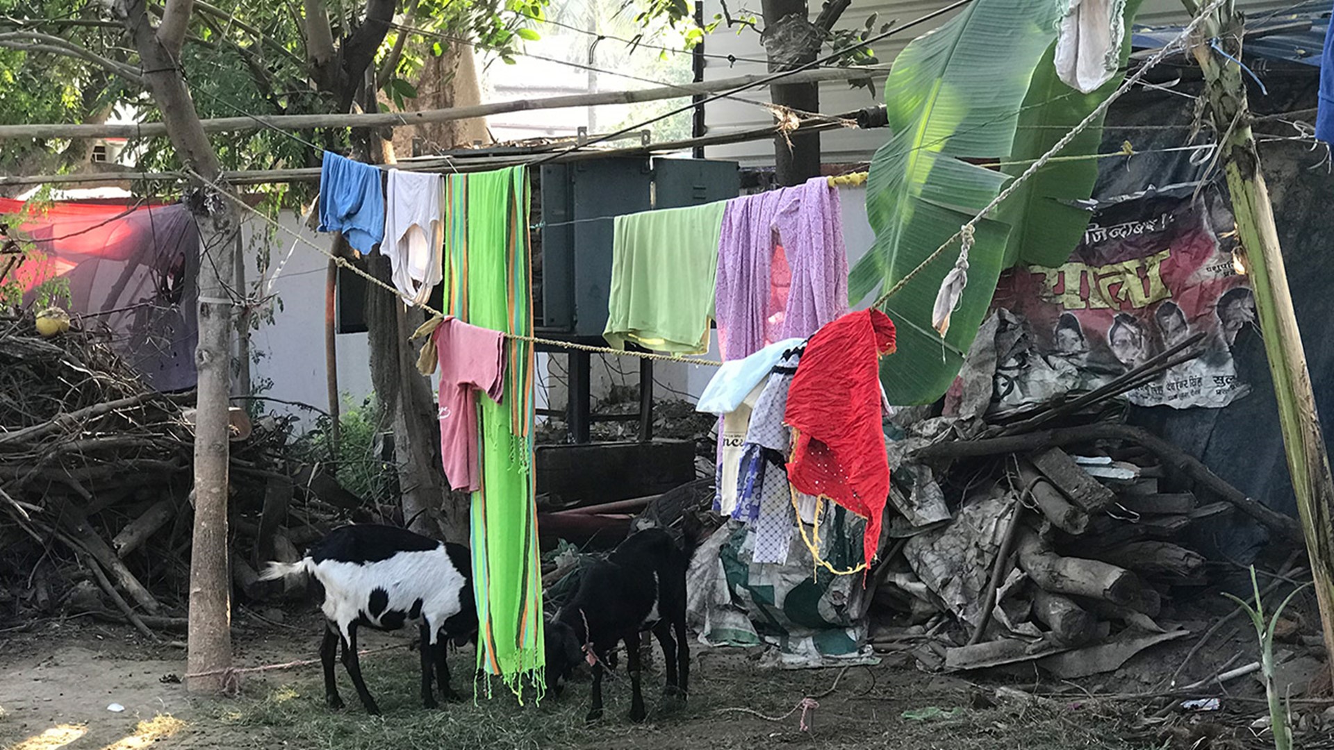 From A to Z: The Sherin Mathews case | 11alive.com