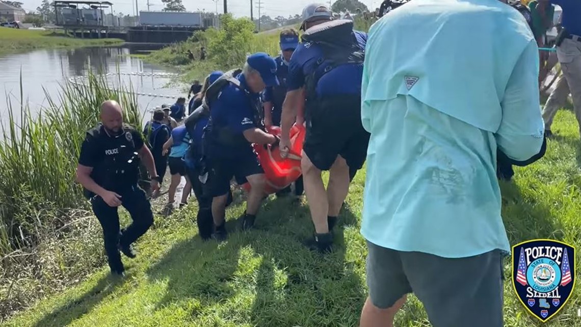Watch: Police officers help injured dolphin out of Louisiana pond ...