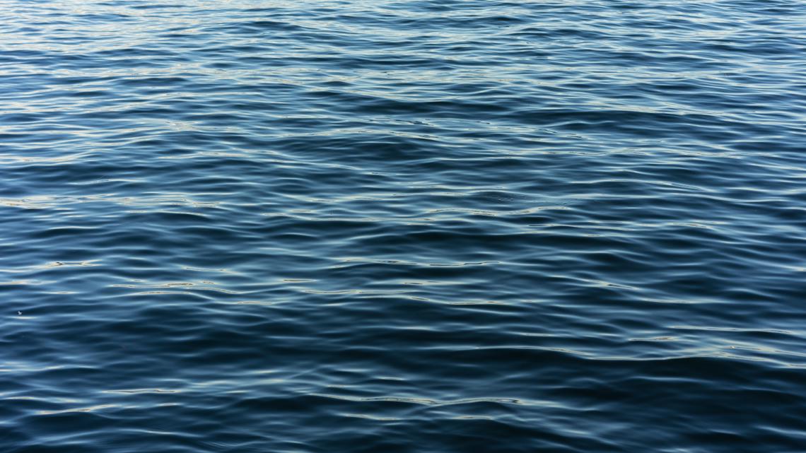 Dad who survived 9/11 attacks drowns in Lake Michigan | 11alive.com