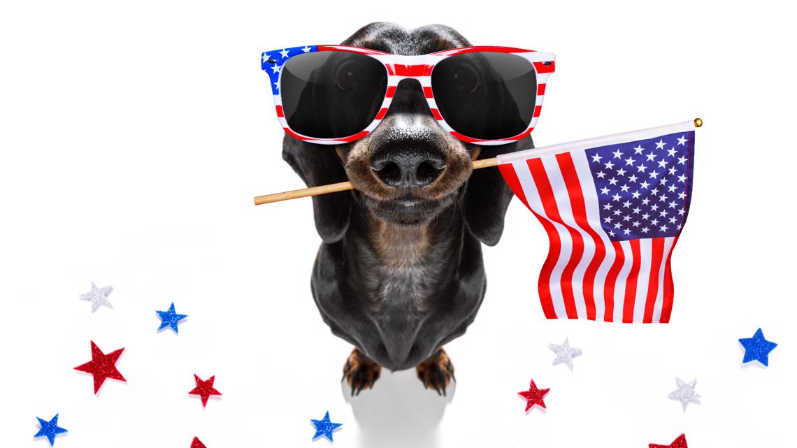 Fourth of July | Dog safety tips when it comes to food, fireworks ...