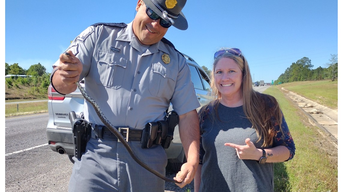 SCHP trooper removes snake from Interstate 20 driver's car | 11alive.com