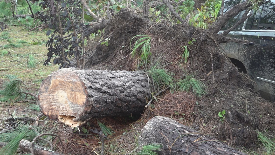 Treutlen County shaken after hundreds of trees down powerlines ...