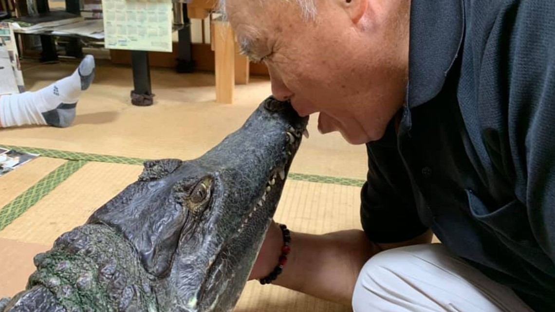 Meet Japan's 'Mr. Gator' and his eight foot alligator Cayman-kun ...