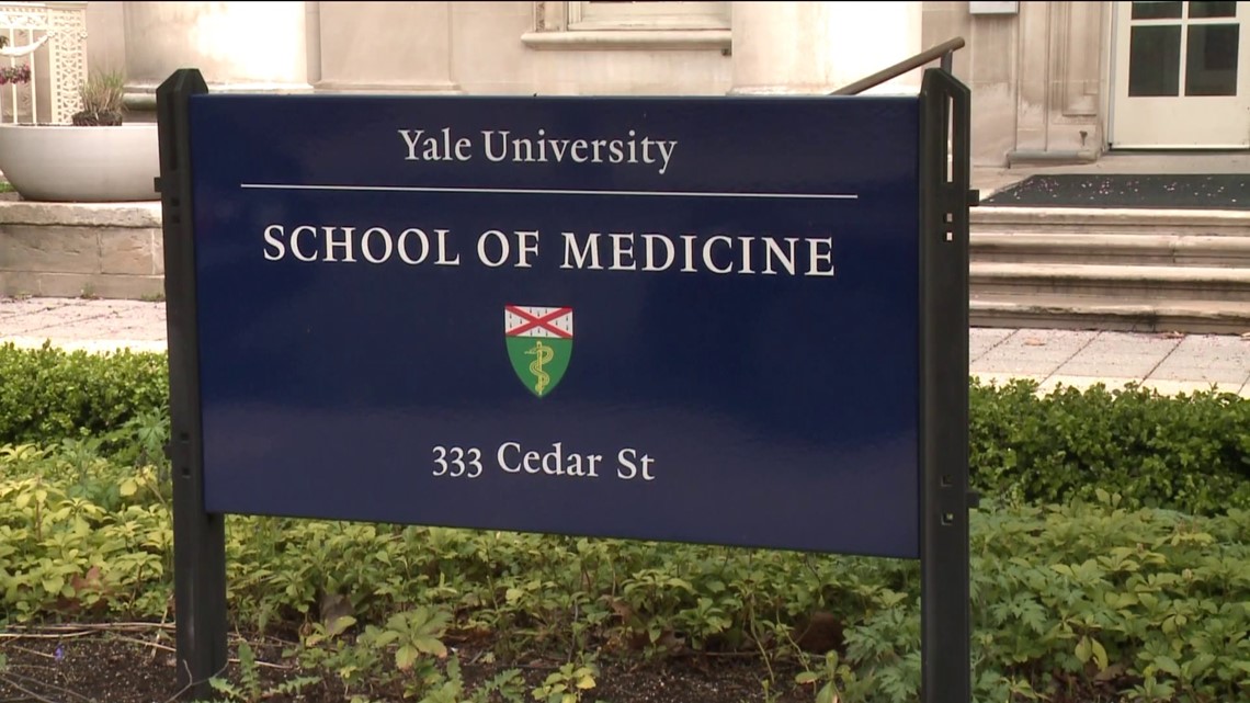 Former Yale employee pleads guilty in $40M electronics scheme | 11alive.com
