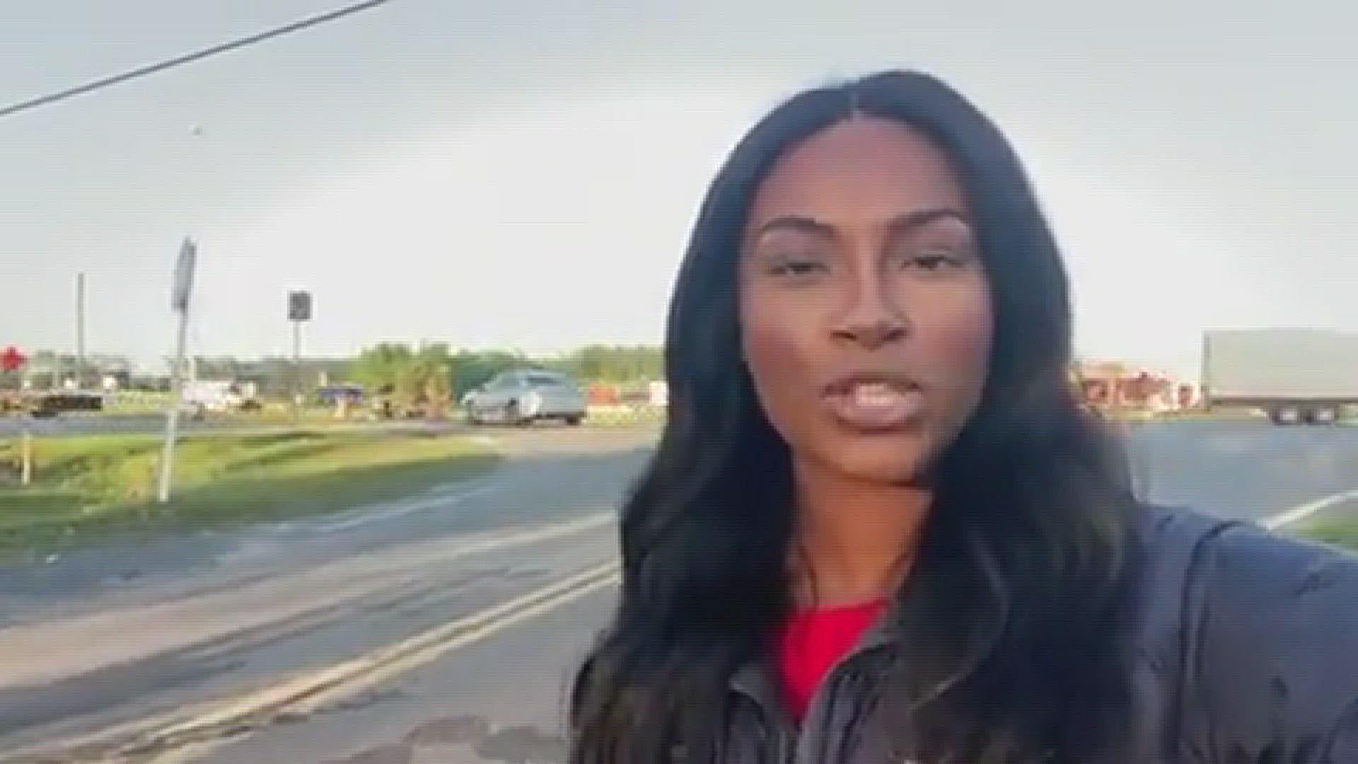 Tractor trailer crashes, lets out bees on I-10 | 11alive.com