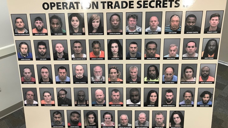 Hillsborough County Sheriff’s Office announces sting operation ...