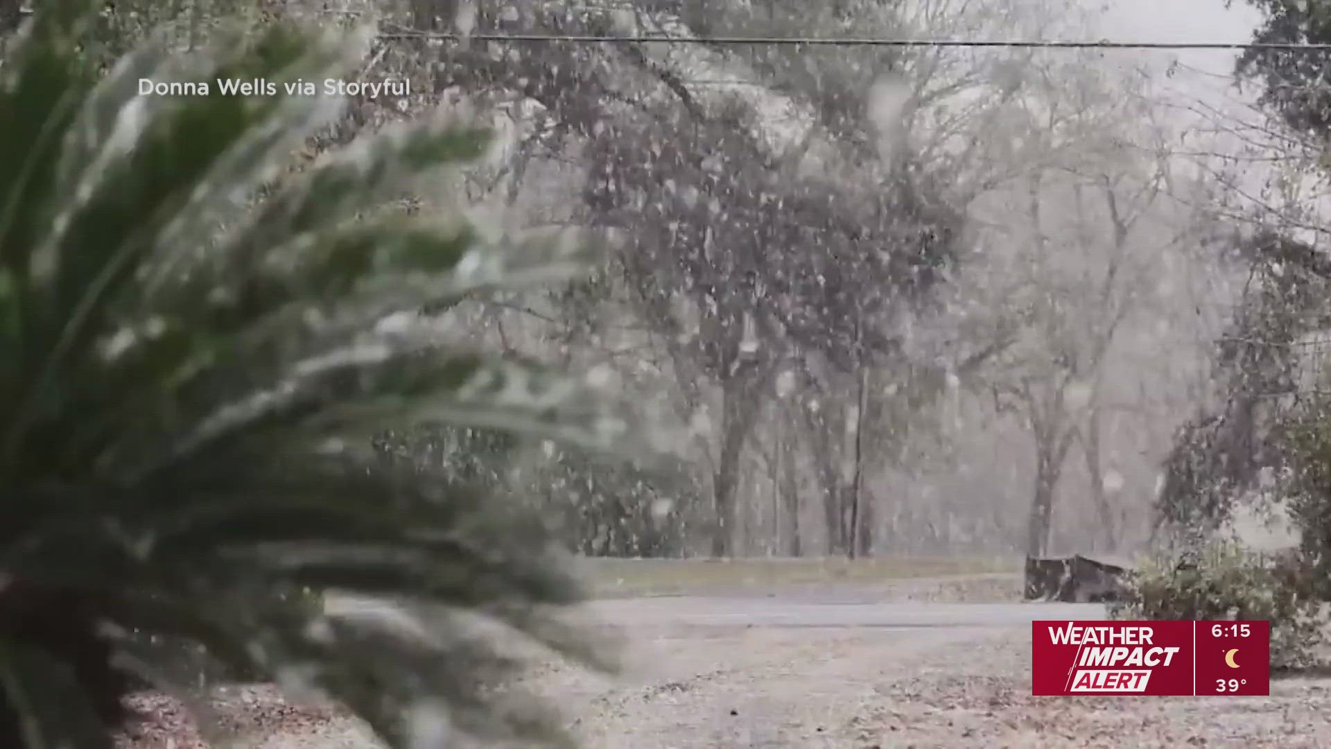 Florida snow 2026: Here are photos, videos capturing snowfall across ...