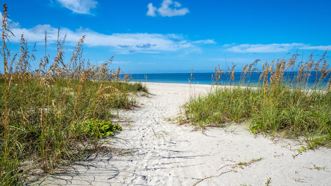 Timothy Leeks arrested in rapper King Von shooting in Atlanta | 11alive.com