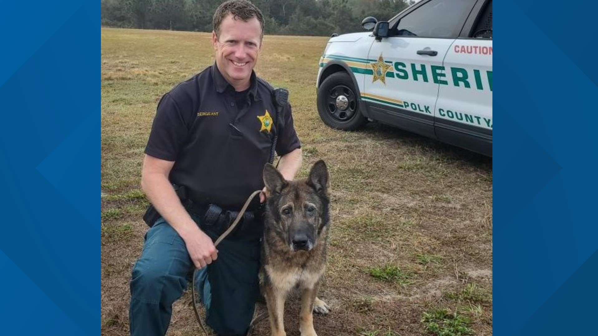 Polk County Sheriff's Office retired K-9 dies | 11alive.com