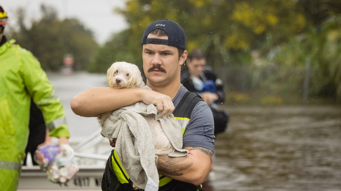 Pets and owners rescued from flood waters after Hurricane Ian | 11alive.com