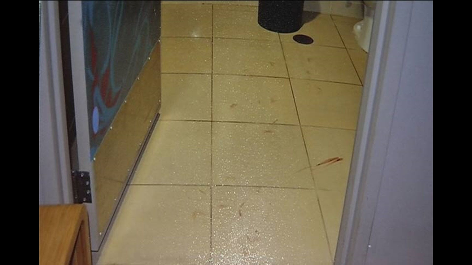 PHOTOS: Bethesda Lululemon murder evidence | 11alive.com