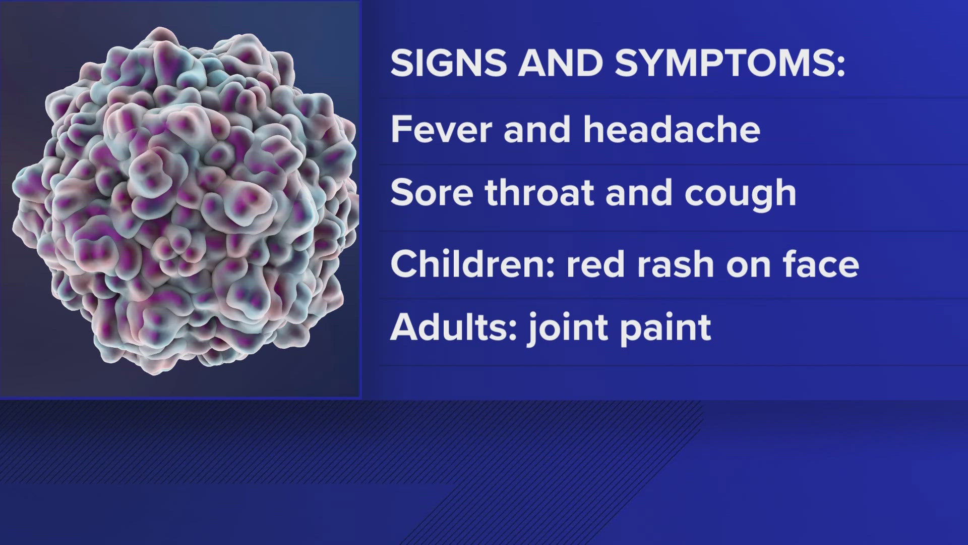 Human Parvovirus B19: Signs and symptoms | 11alive.com