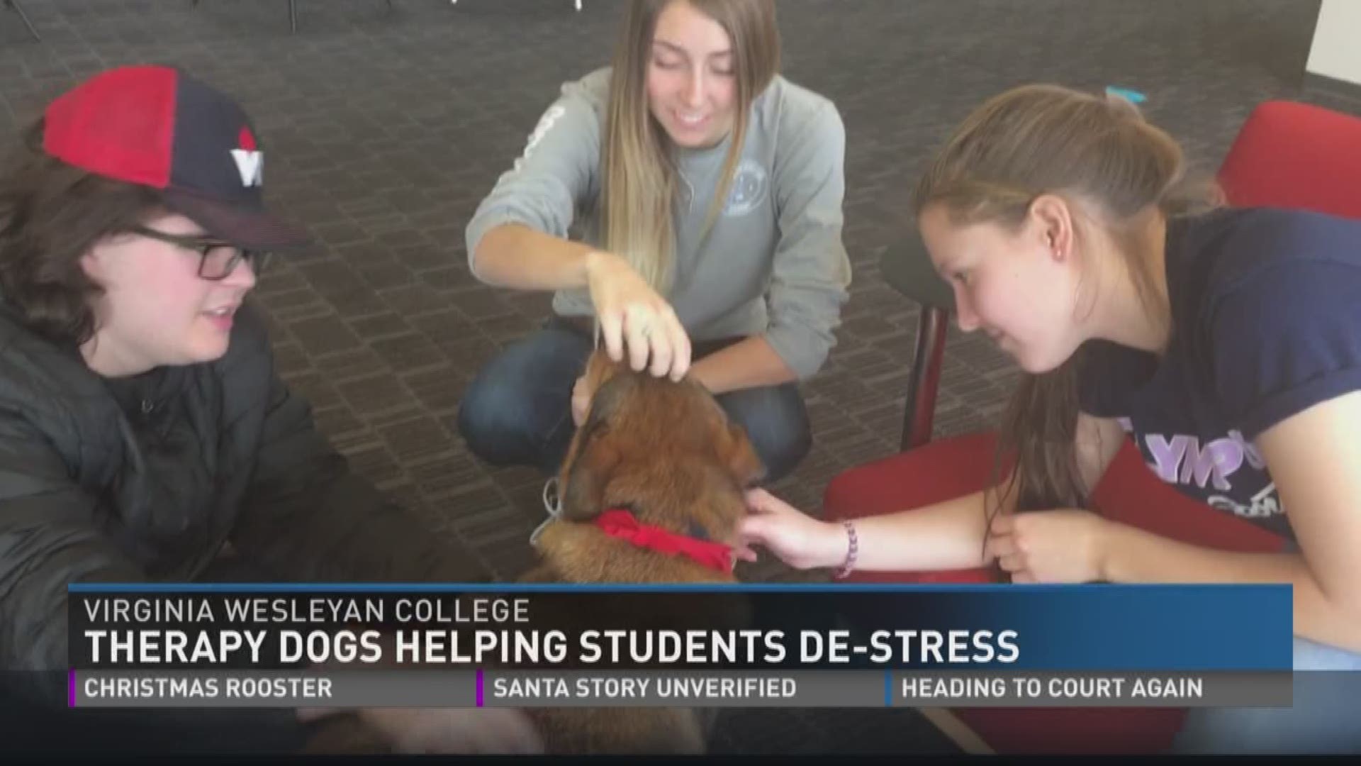 Therapy dogs help college students de-stress for final exams | 11alive.com