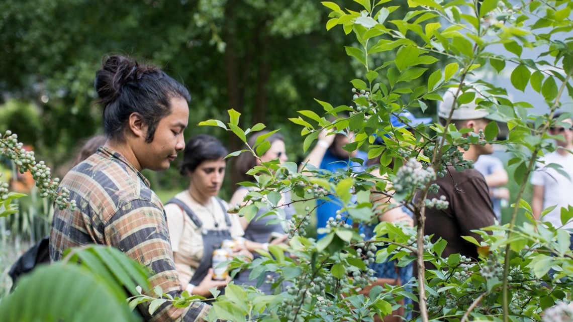 Concrete Jungle, group that brings fruit to Atlanta's poor, has fed ...