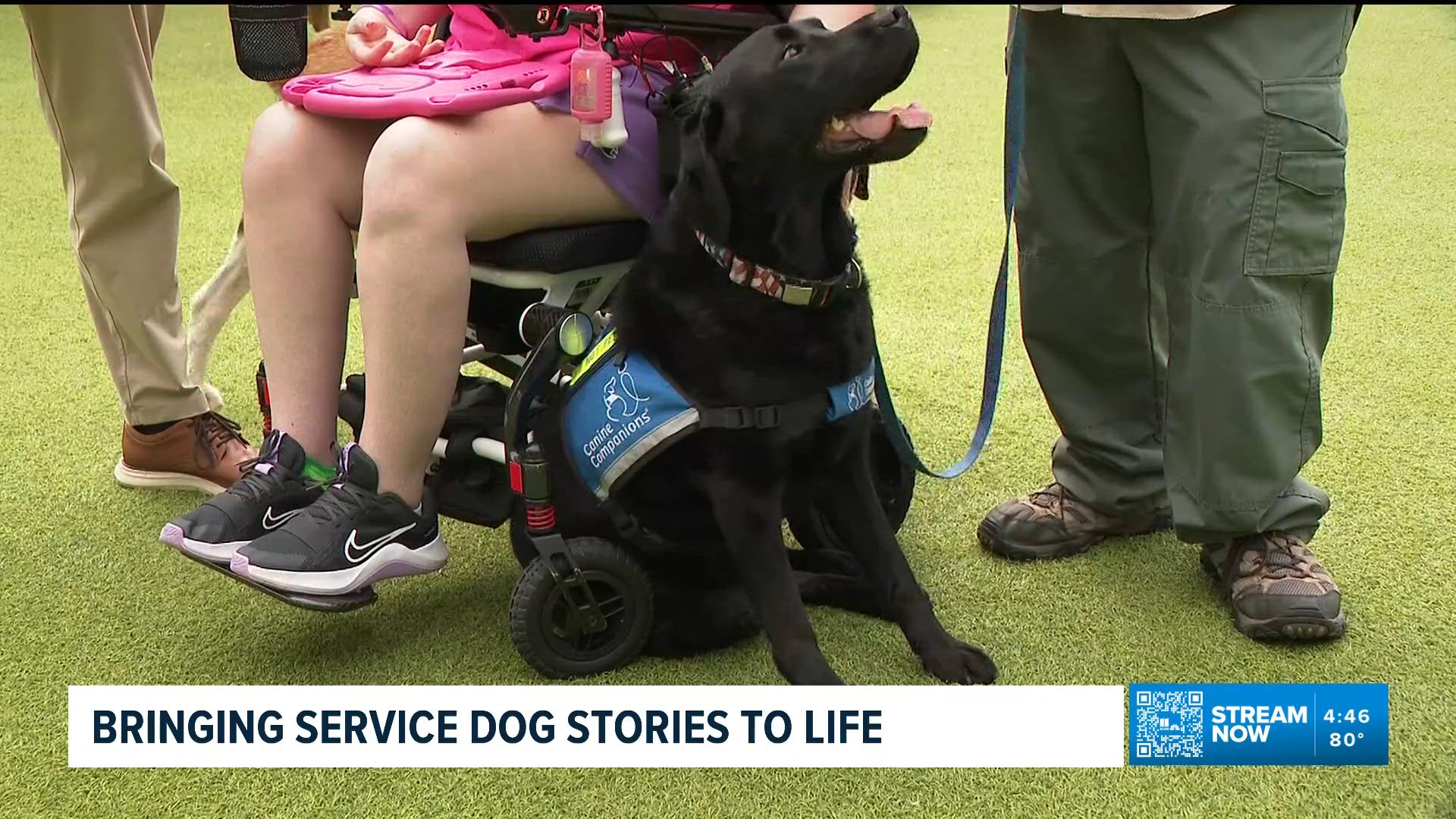 Former Yoda animator creates service dog hero to support Canine ...