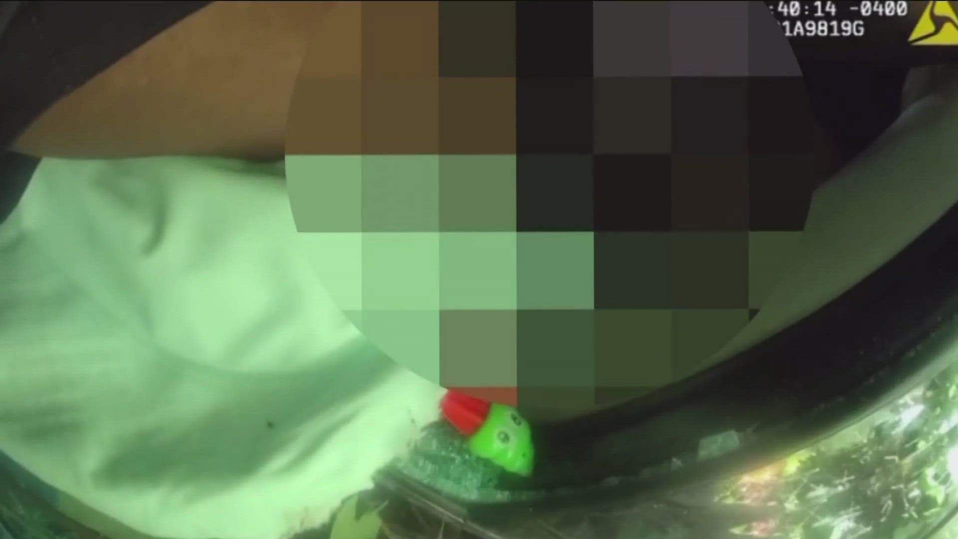 South Fulton Police officers save family after crash | 11alive.com