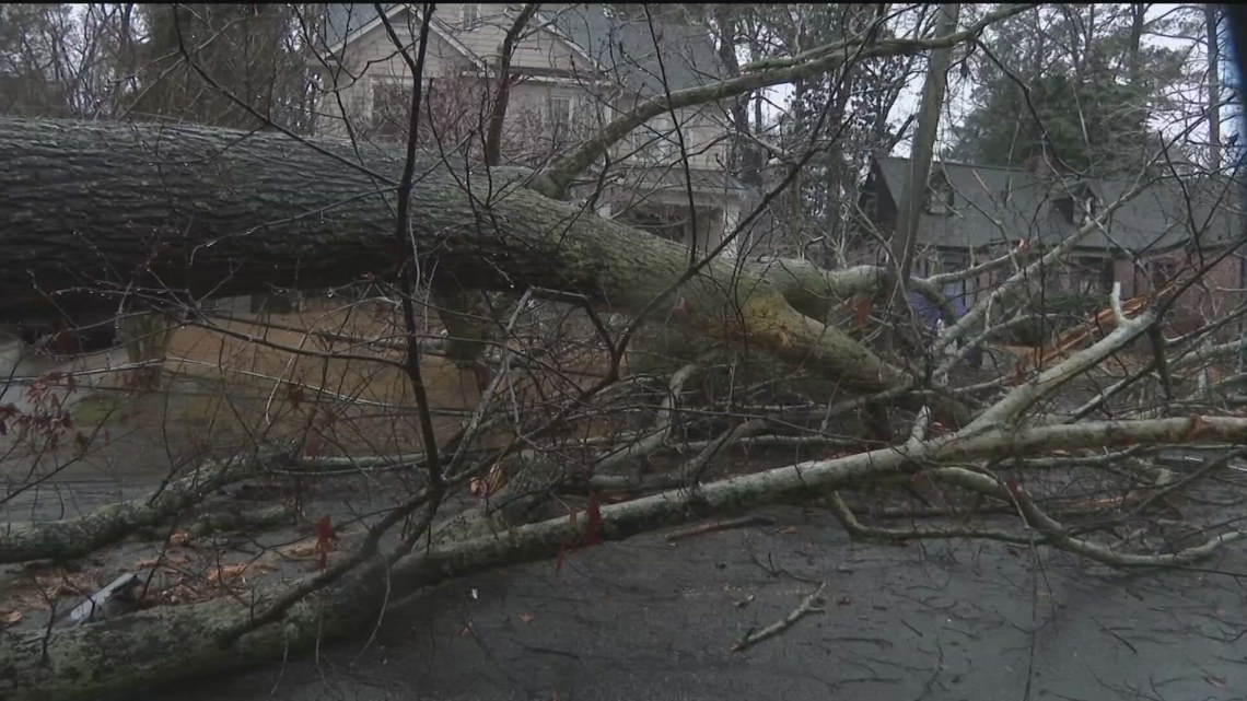 Massive tree falls down on driving car in Atlanta's Morningside ...
