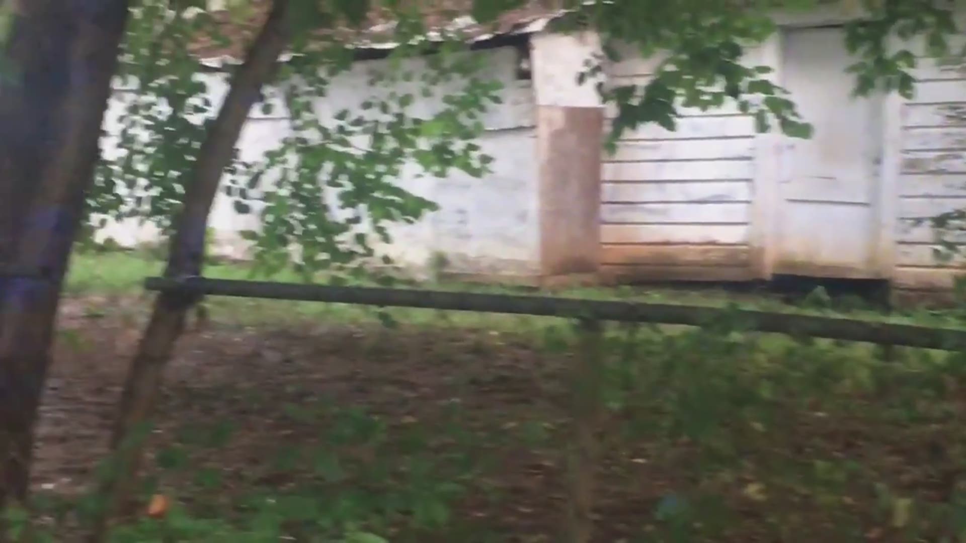 Hall County Deputy killed | This is what we know | 11alive.com