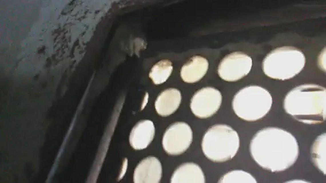 Video from inside Ware State Prison in Georgia shows conditions inside ...